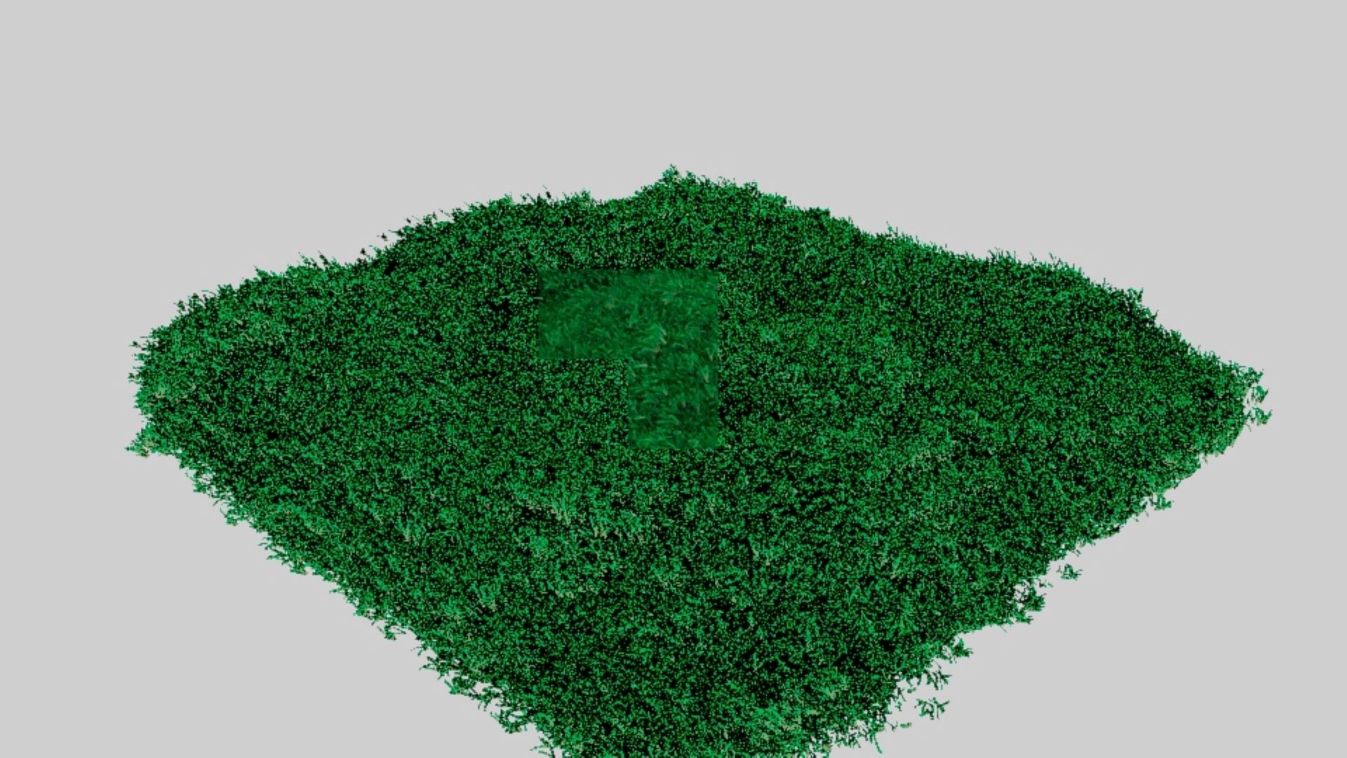 Grass Field 3D Model - TurboSquid 2030770