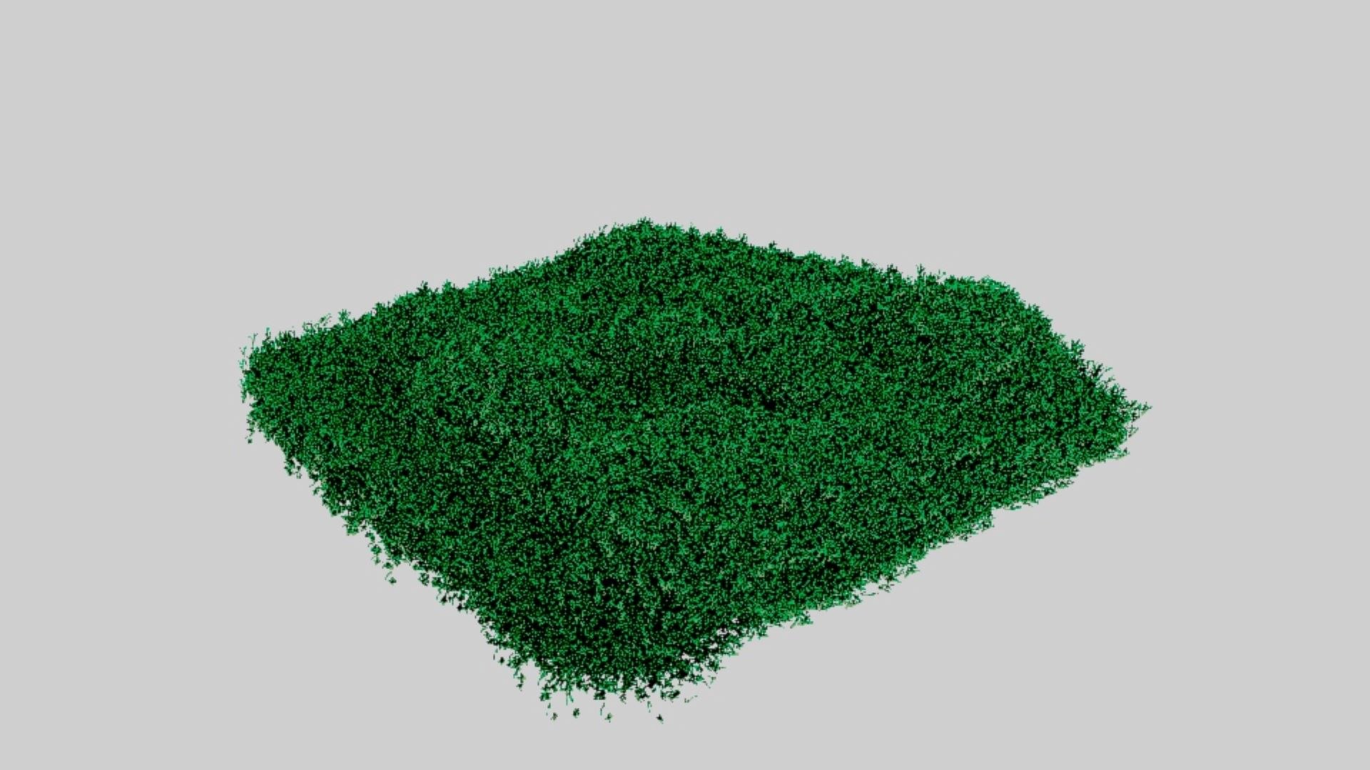 Grass Field 3D Model - TurboSquid 2030770