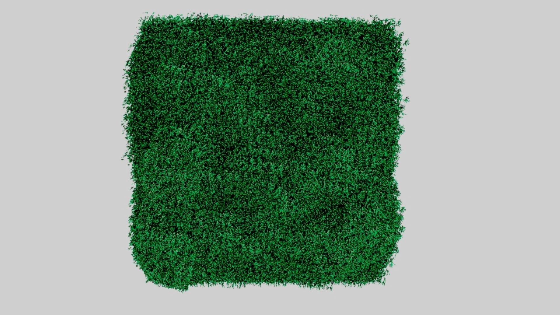 Grass Field 3D Model - TurboSquid 2030770