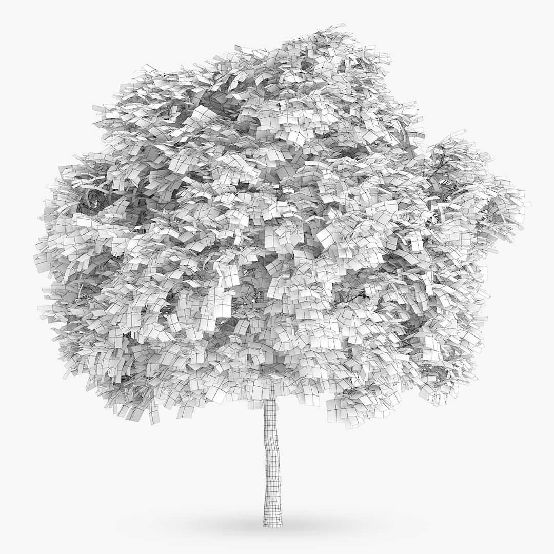 3d wild service tree 10m