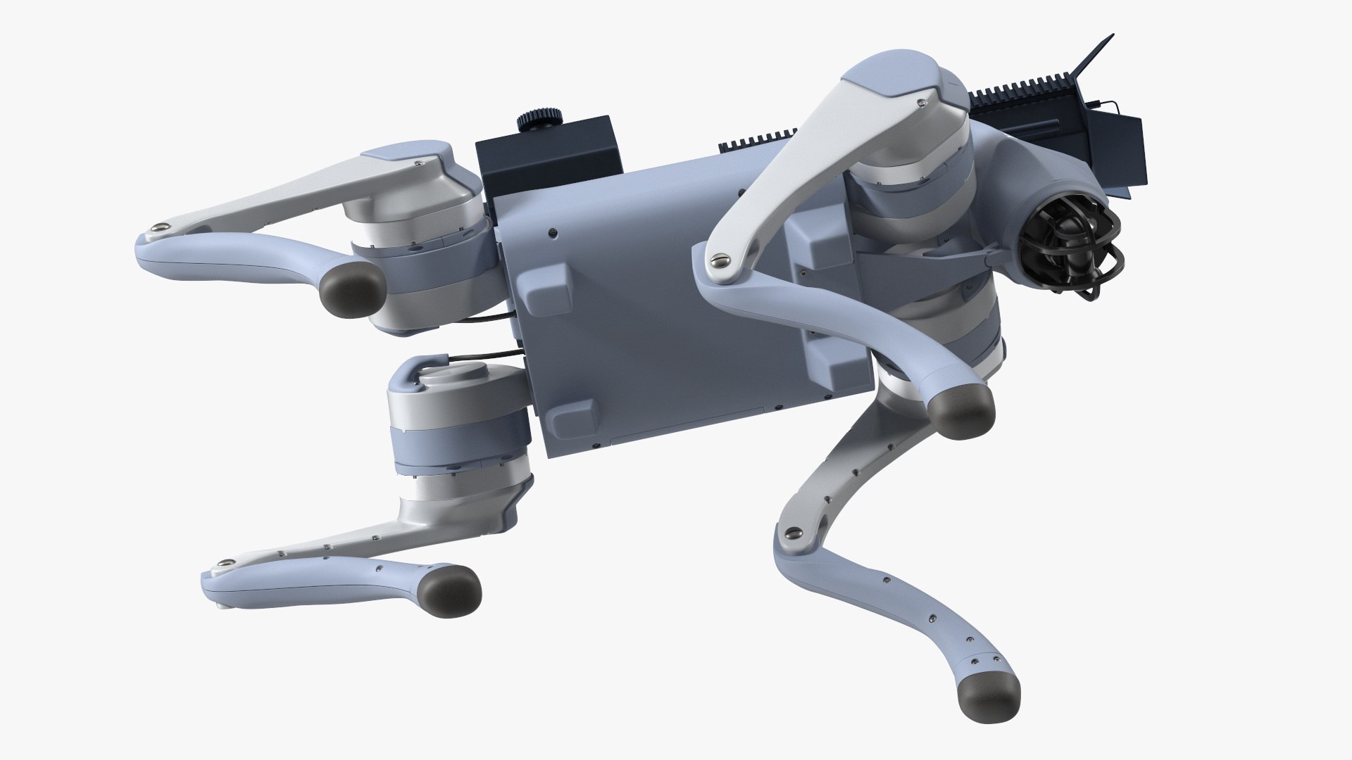 Thermonator Robot Dog In Stand Pose 3D Model - TurboSquid 2253089