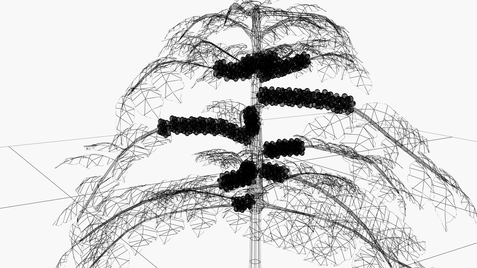 Coffee Tree 3D Model - TurboSquid 1983965