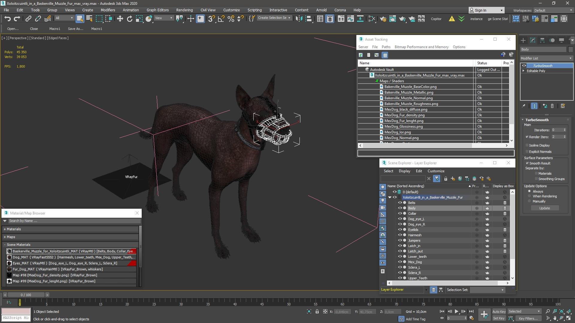 Xoloitzcuintli In A Baskerville Muzzle Fur Model - TurboSquid 2284134