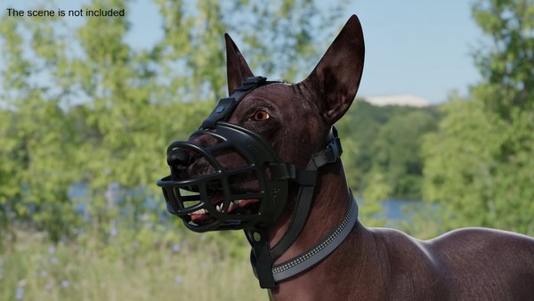 modelo 3d Xoloitzcuintli con piel de Baskerville - TurboSquid 2284134