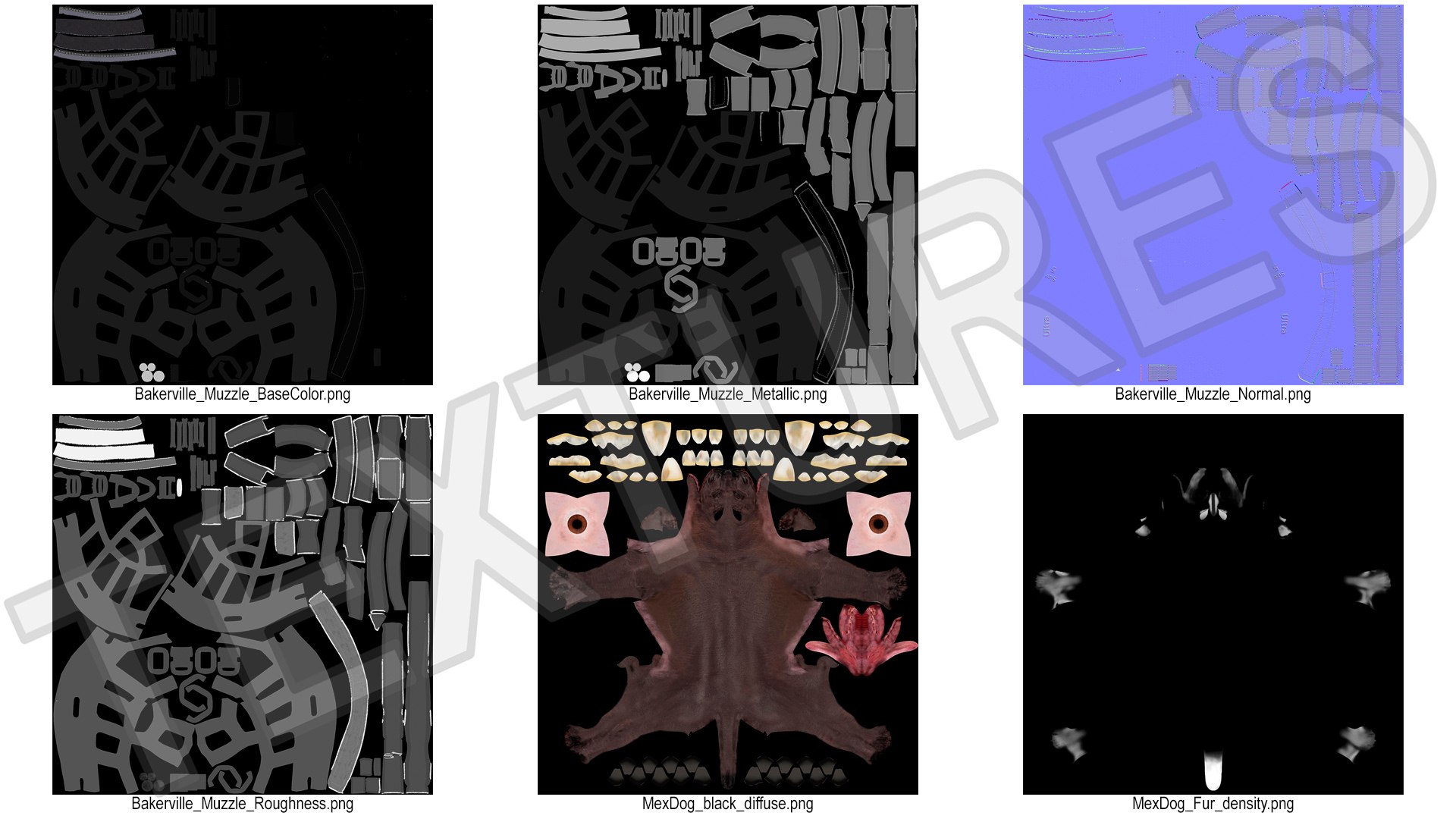 Xoloitzcuintli In A Baskerville Muzzle Fur Model - TurboSquid 2284134