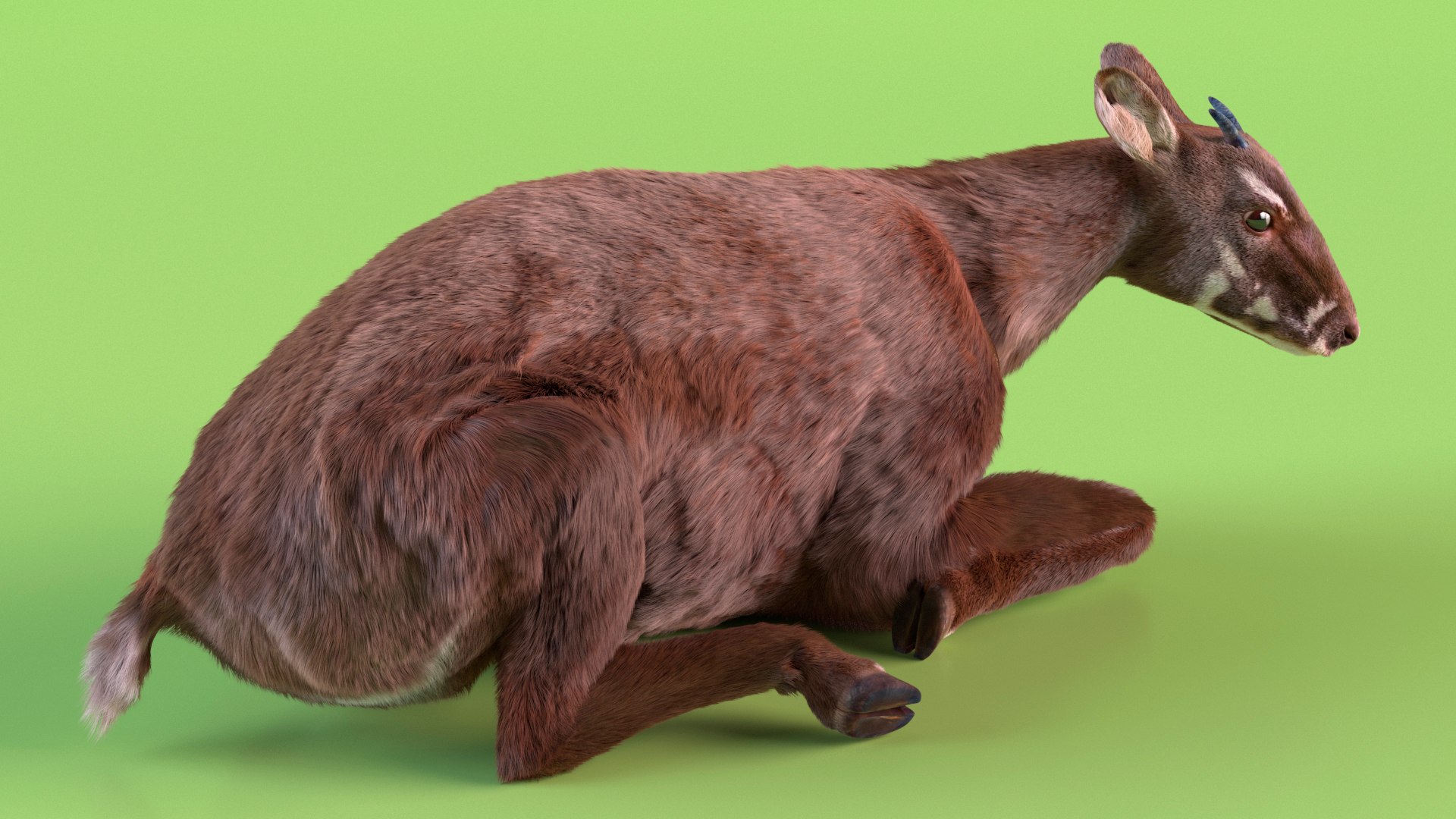 Saola Reclining Pose Fur 3D Model - TurboSquid 2202822
