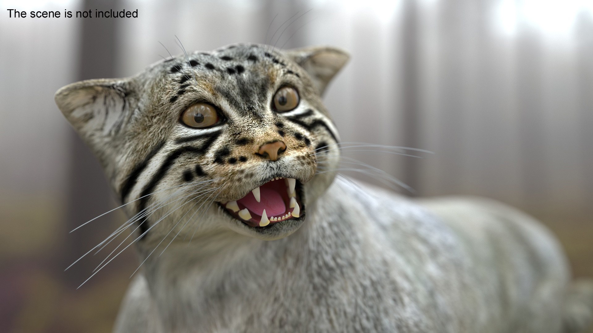 3D Cat Rigged Animated For Cinema 4D - TurboSquid 2280783