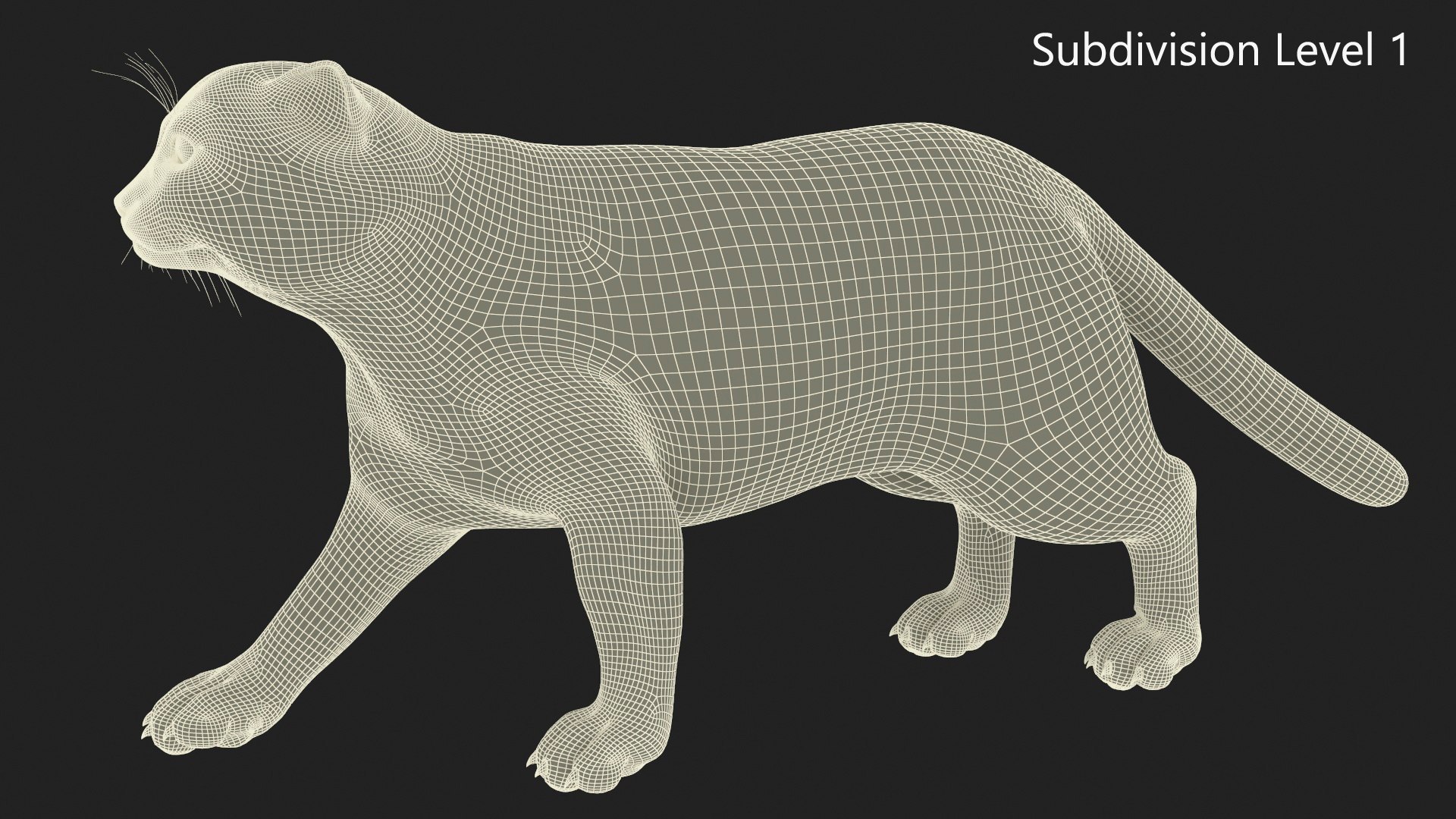 3D Cat Rigged Animated For Cinema 4D - TurboSquid 2280783