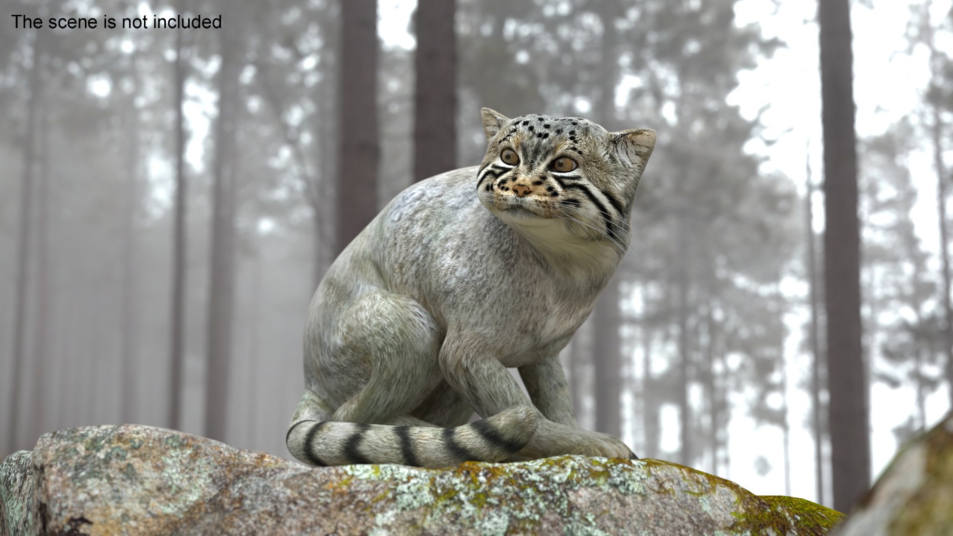 3D Cat Rigged Animated For Cinema 4D - TurboSquid 2280783
