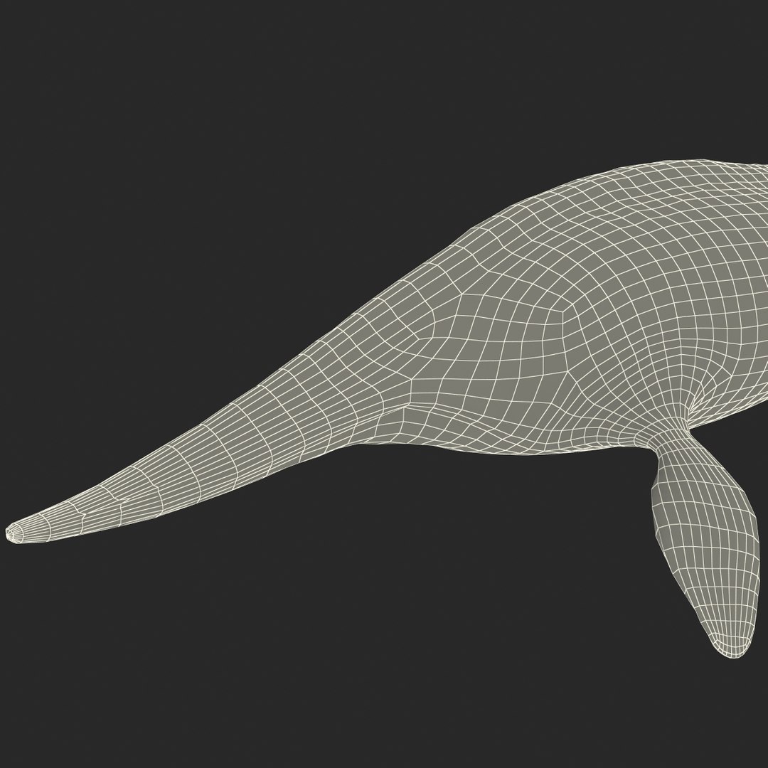Kronosaurus Dinosaur Modeled Max