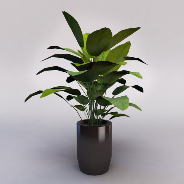 3D Maya plant shrub tree