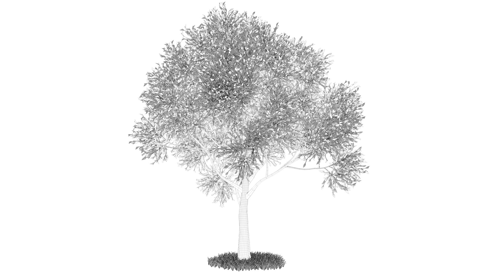 Apple Tree 3D Model - TurboSquid 1684528