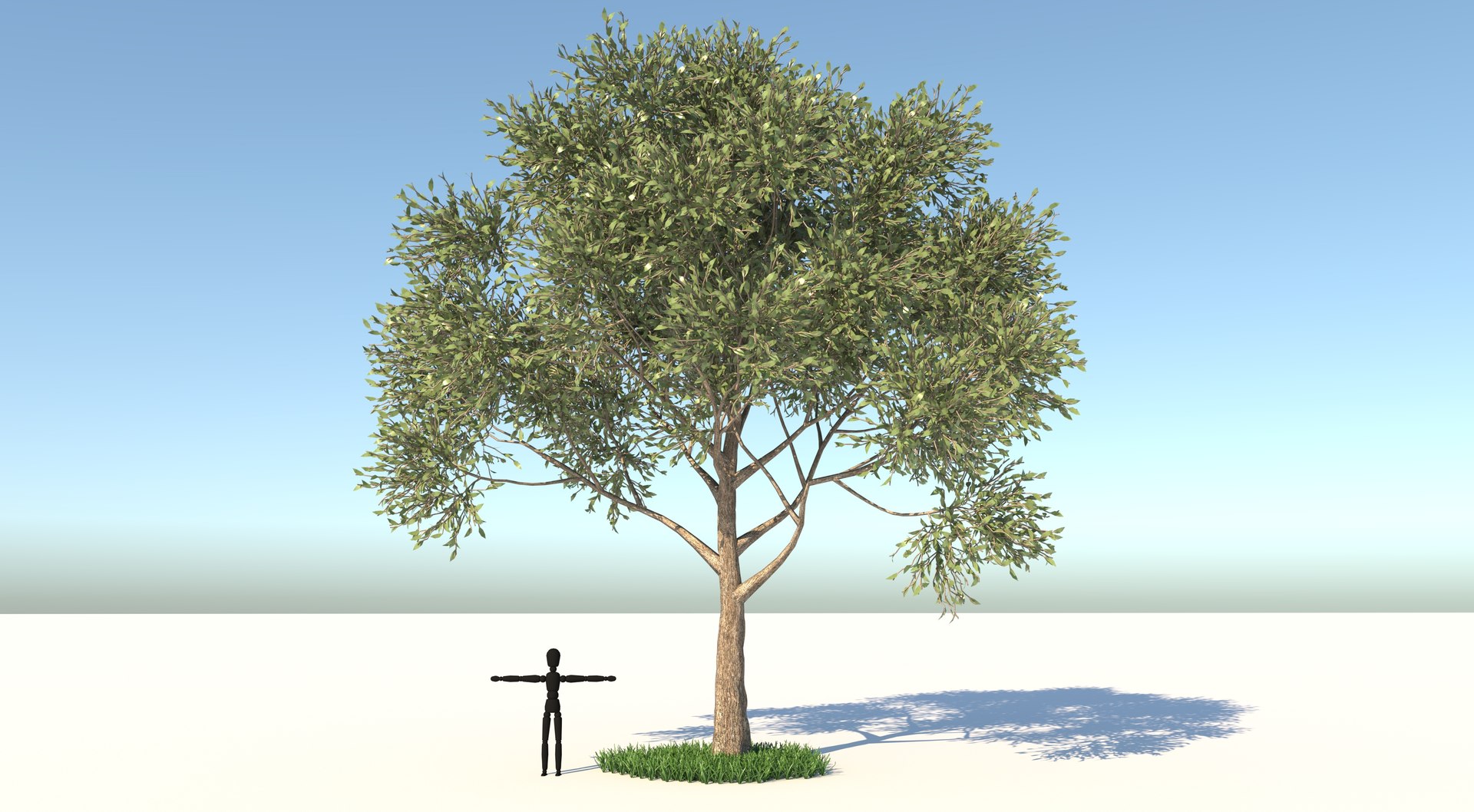 Apple Tree 3D Model - TurboSquid 1684528