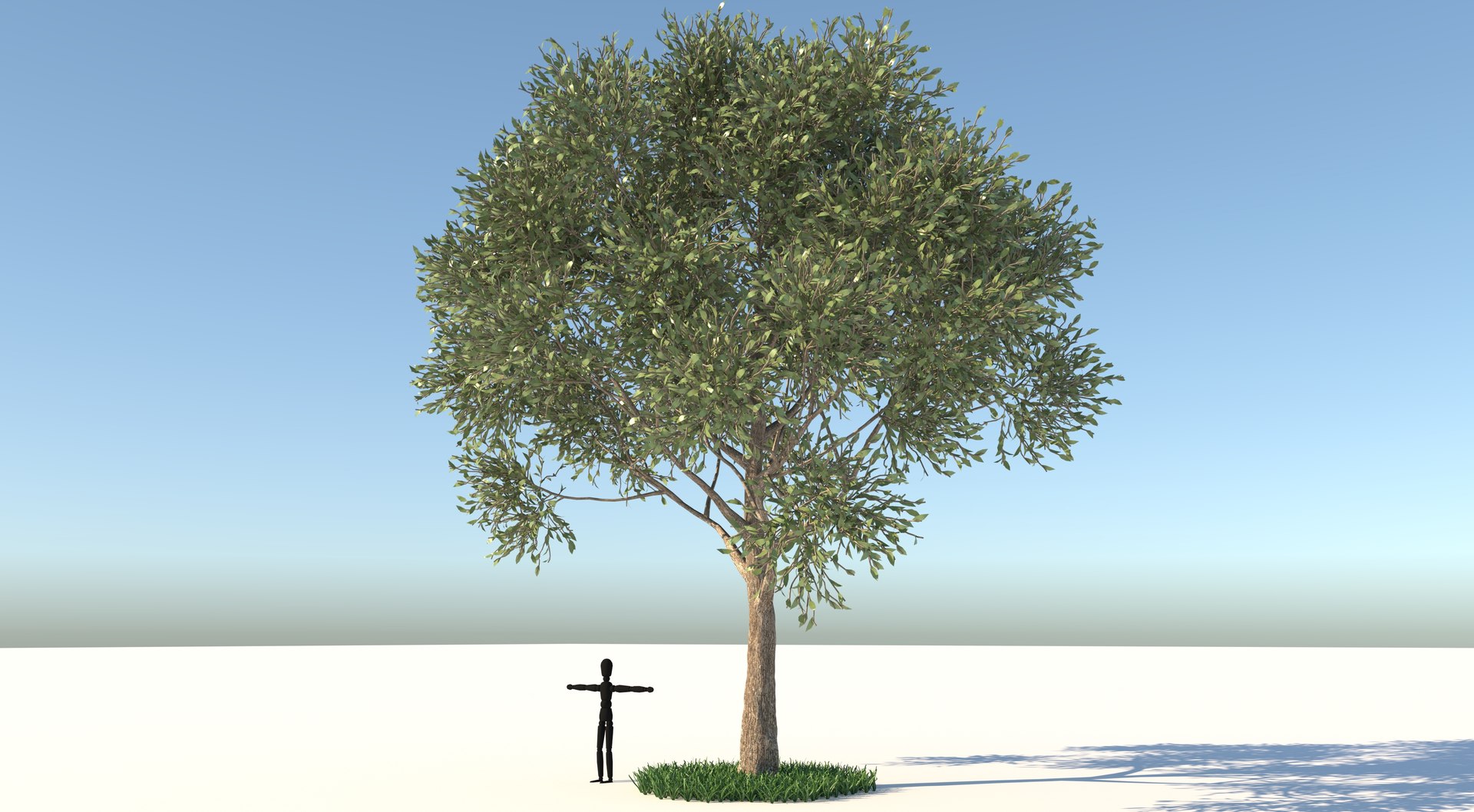 Apple Tree 3D Model - TurboSquid 1684528