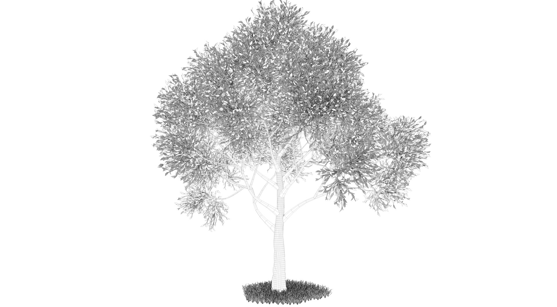 Apple Tree 3D Model - TurboSquid 1684528