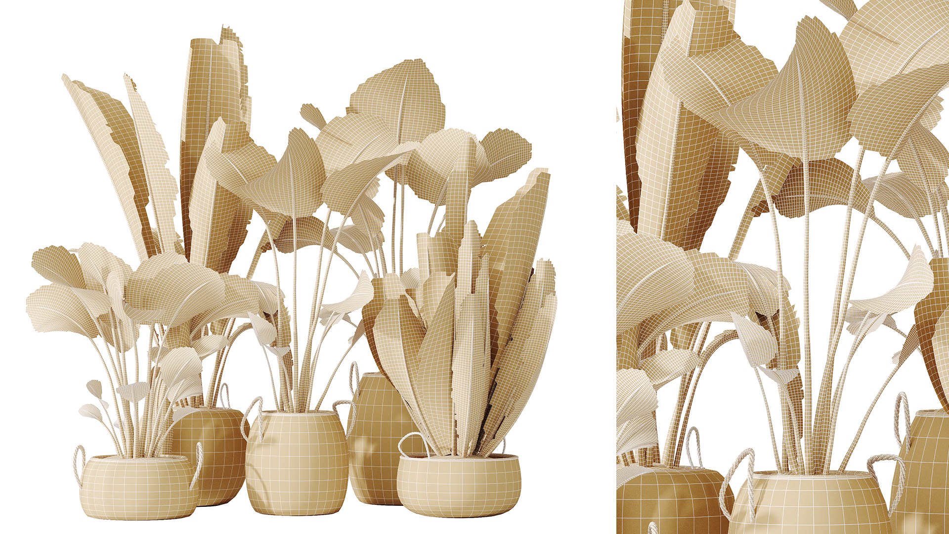 3D AV Indoor Plants Set 130 Ravenala Banana Strelitzia Nicolai Bird Of ...