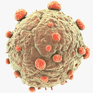 Download Free & Premium Cancer Cell 3D Models | TurboSquid