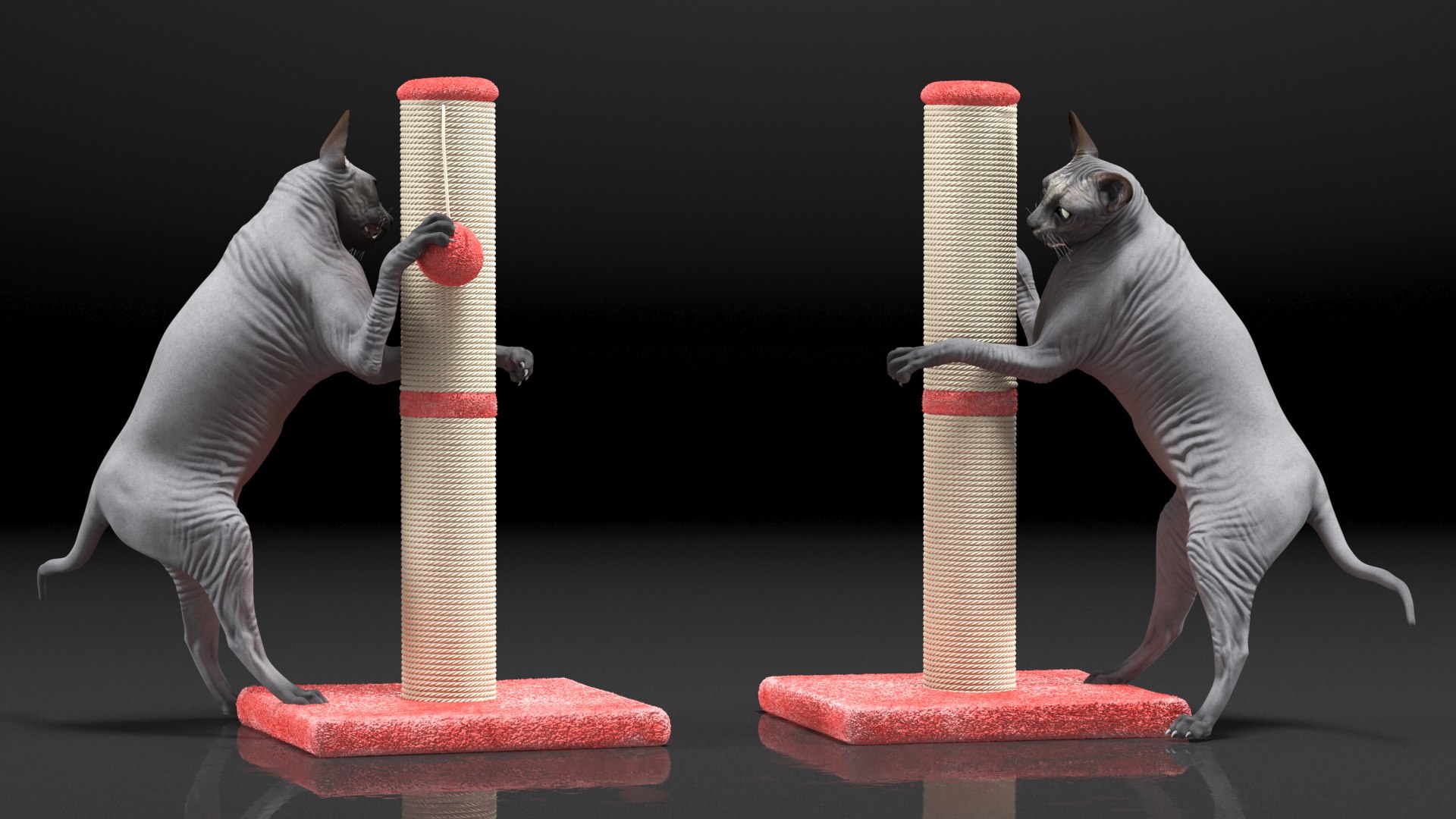 3D Model Cat Playing With A Scratching Post - TurboSquid 1819634