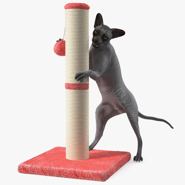 3D model Cat Playing With A Scratching Post - TurboSquid 1819634