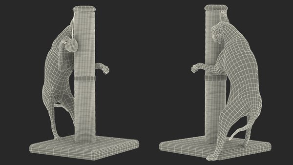 3D model Cat Playing With A Scratching Post - TurboSquid 1819634