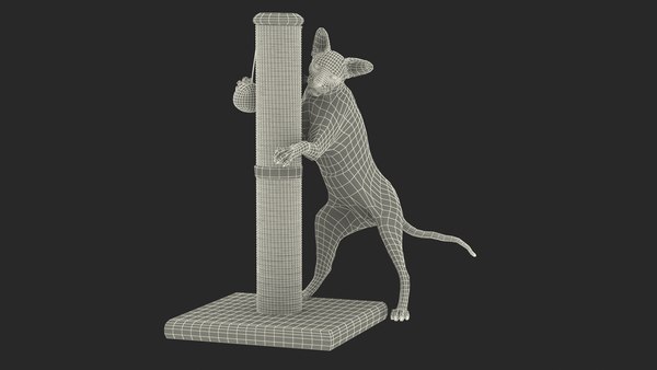3D model Cat Playing With A Scratching Post - TurboSquid 1819634