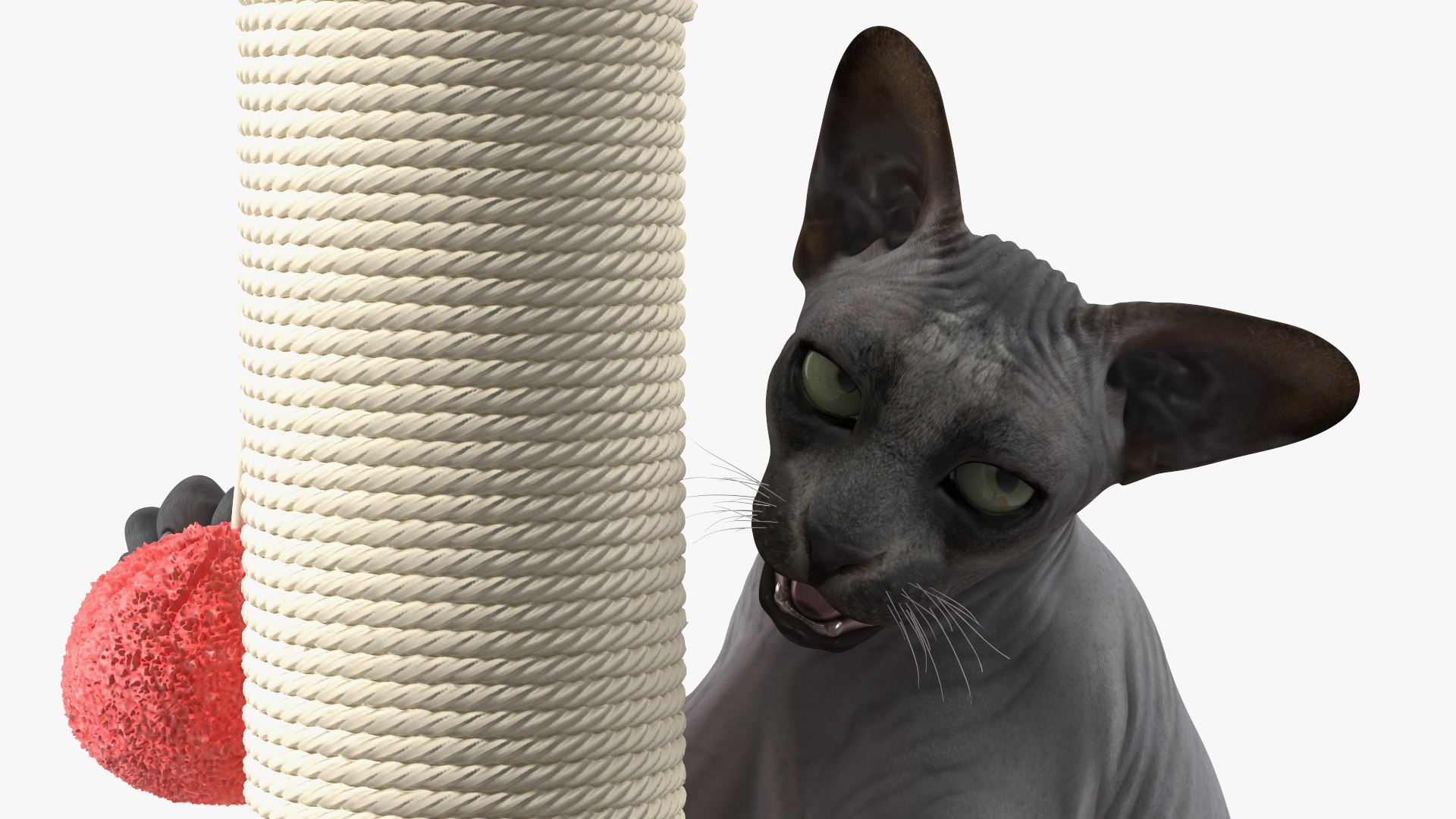3D Model Cat Playing With A Scratching Post - TurboSquid 1819634