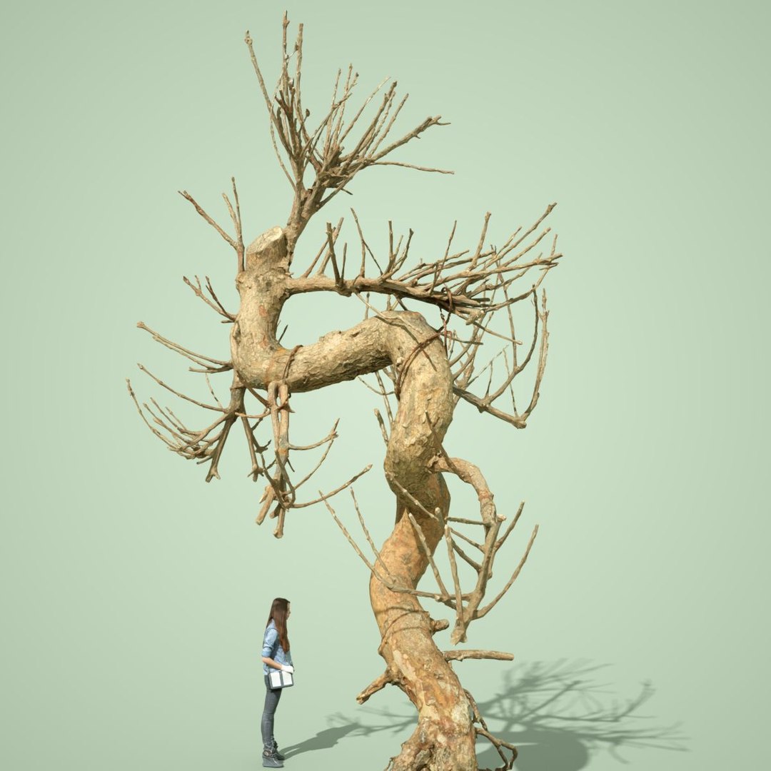 3D dead forest tree stylised model - TurboSquid 1162454