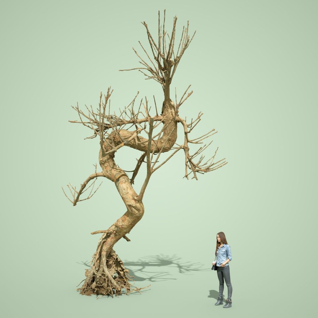 3D dead forest tree stylised model - TurboSquid 1162454