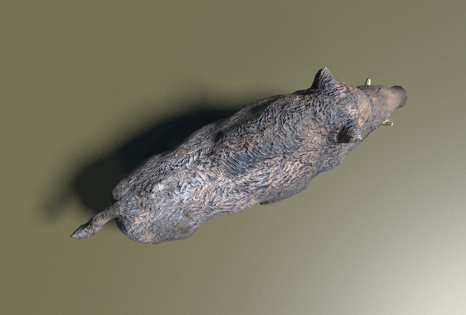 Boar Model - TurboSquid 1175045