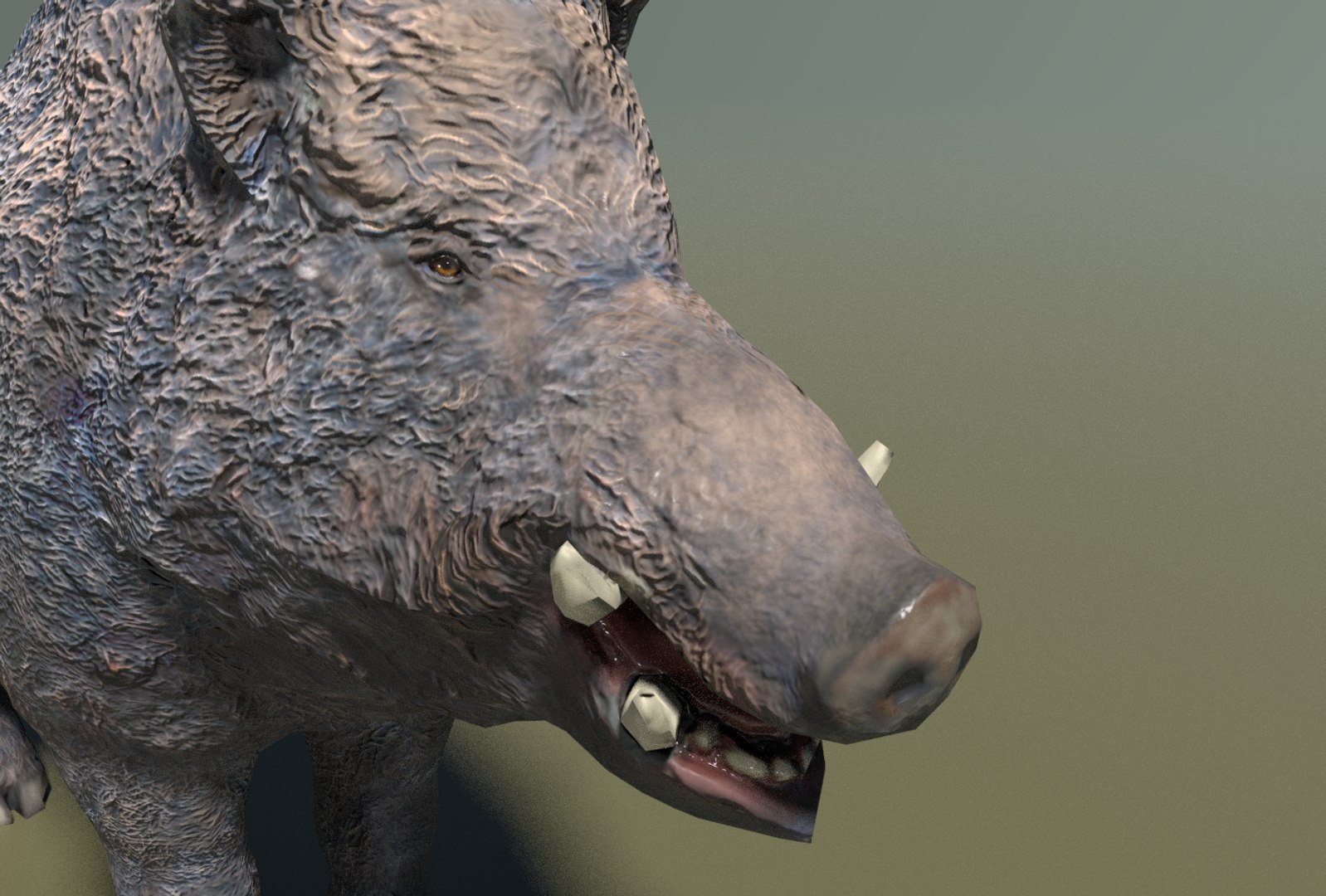 Boar Model - TurboSquid 1175045