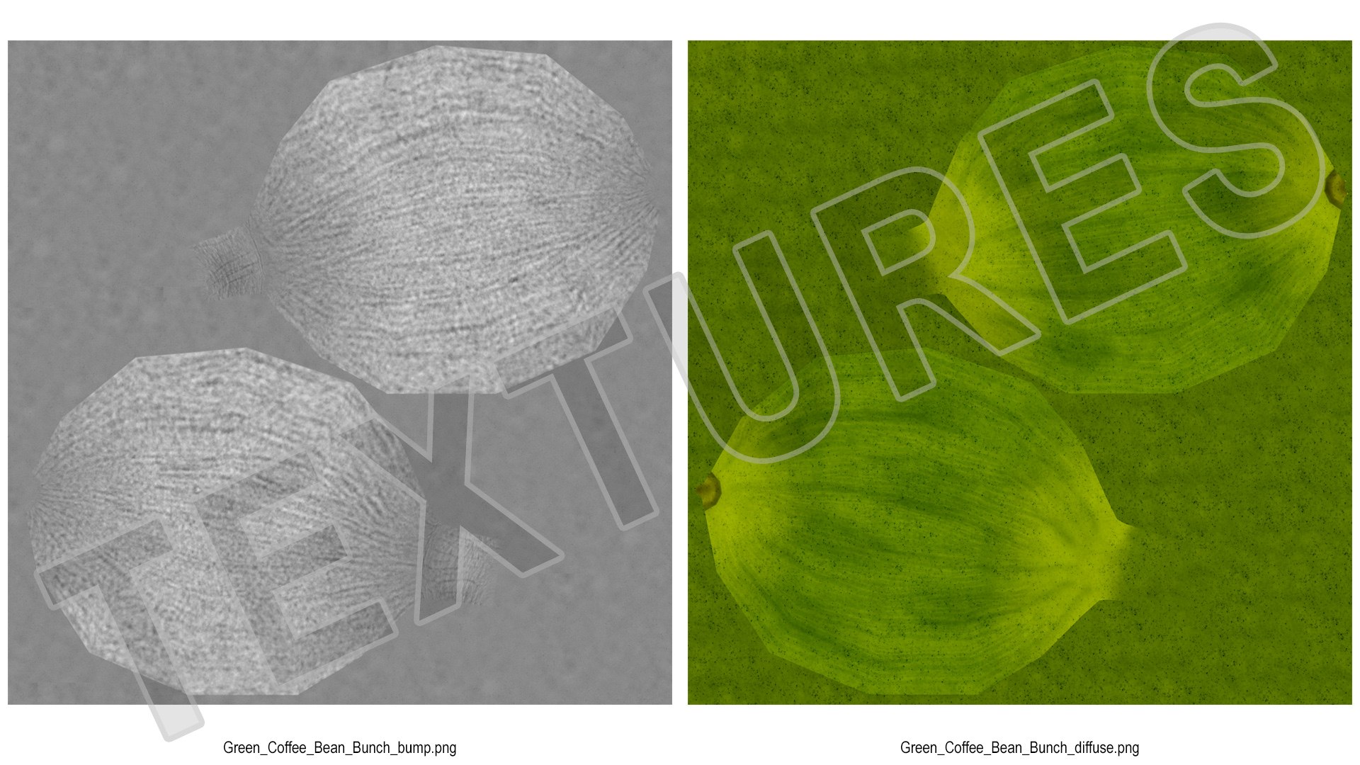 3D Green Ripe Coffee Bean - TurboSquid 2141572