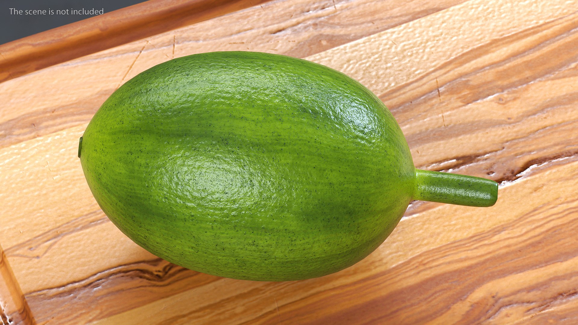 3D Green Ripe Coffee Bean - TurboSquid 2141572