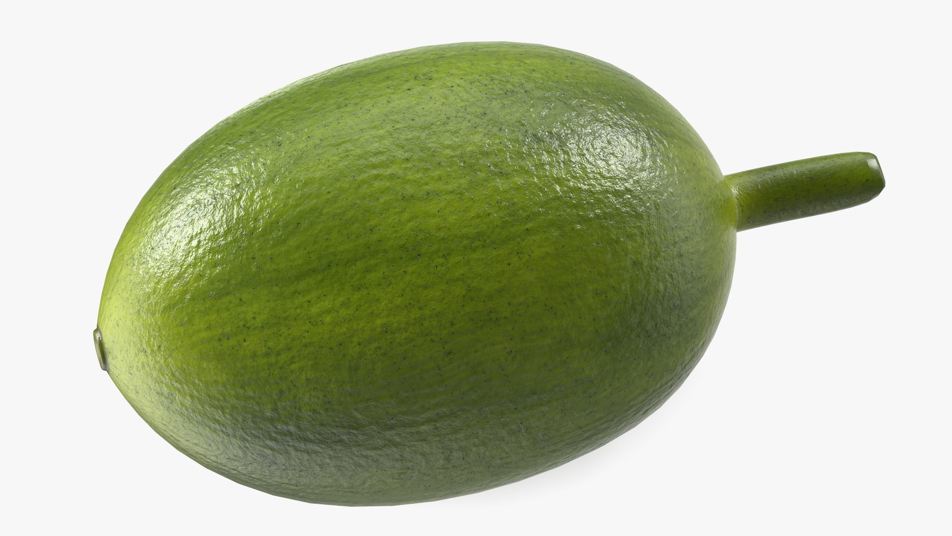 3D Green Ripe Coffee Bean - TurboSquid 2141572