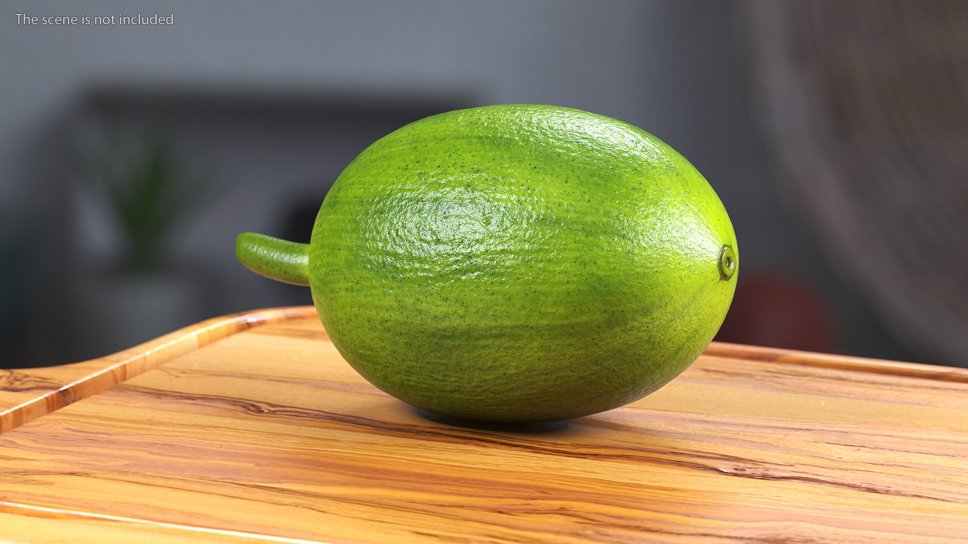 3D Green Ripe Coffee Bean - TurboSquid 2141572