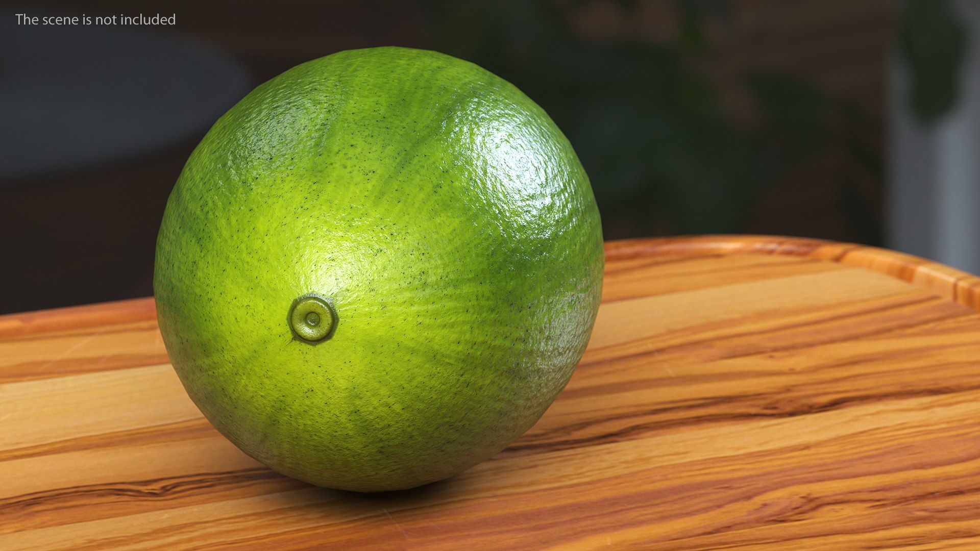 3D Green Ripe Coffee Bean - TurboSquid 2141572