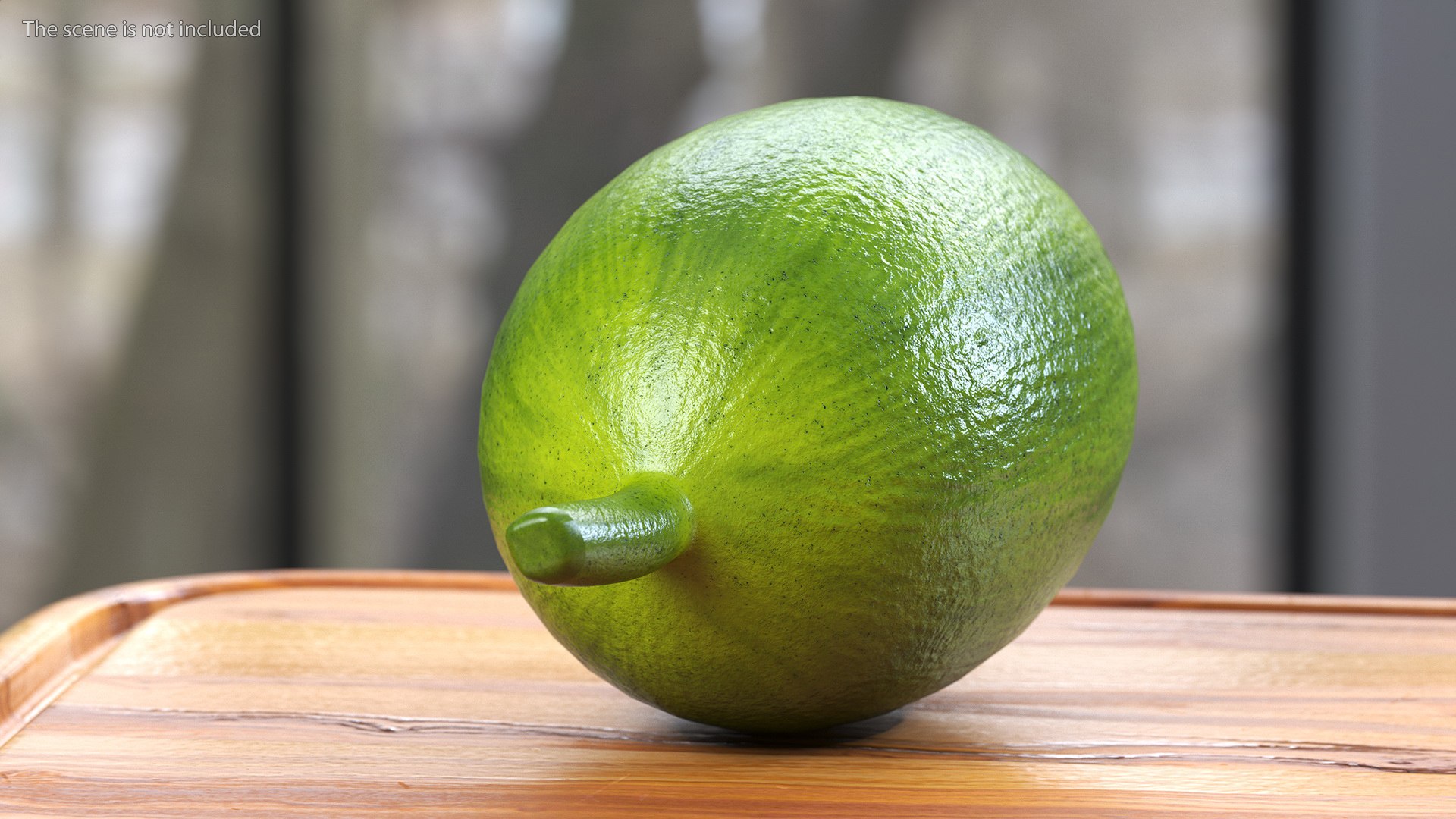 3D Green Ripe Coffee Bean - TurboSquid 2141572