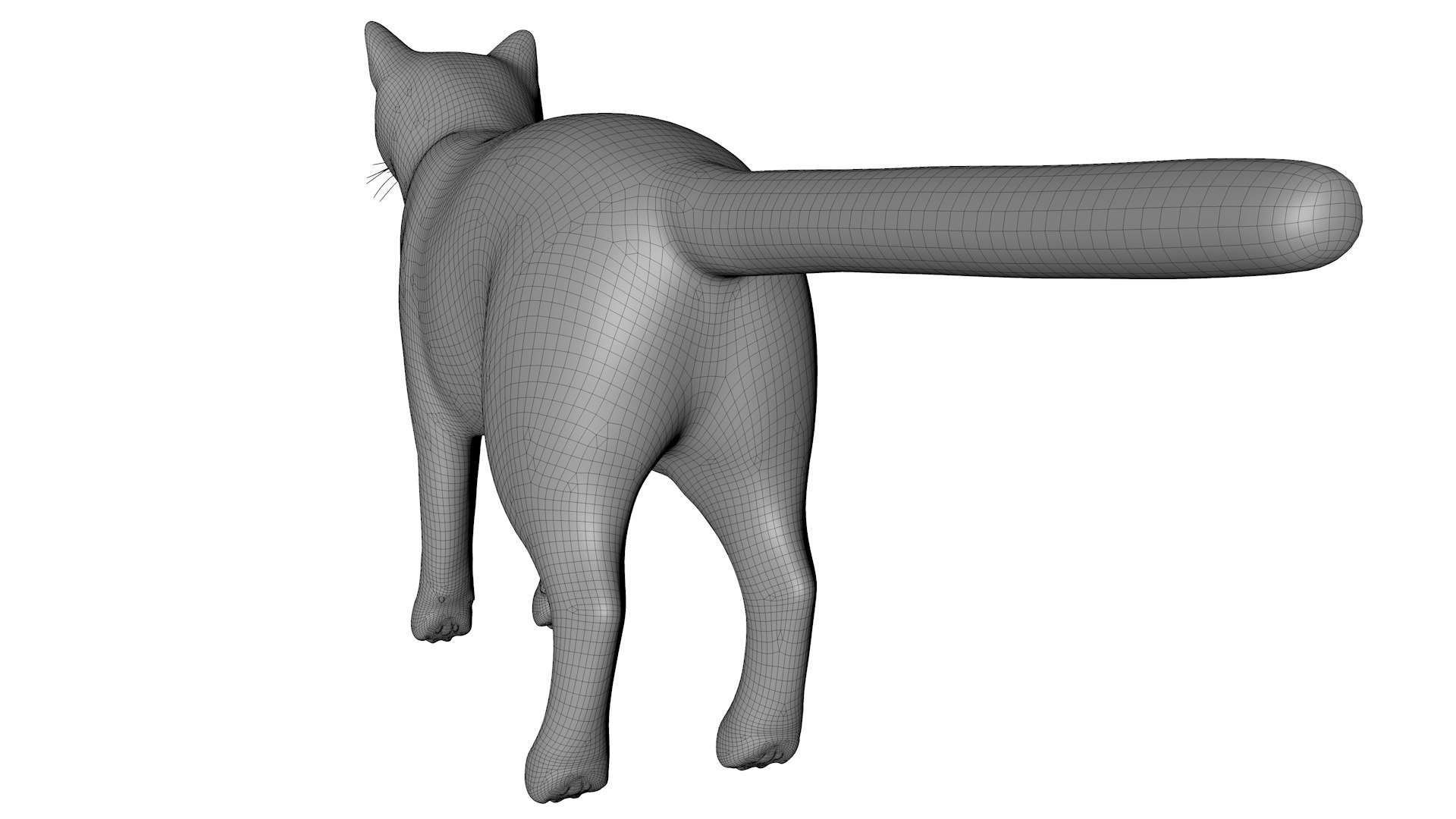 Grey Cat Rigged For Cinema 3D Model - TurboSquid 2069969