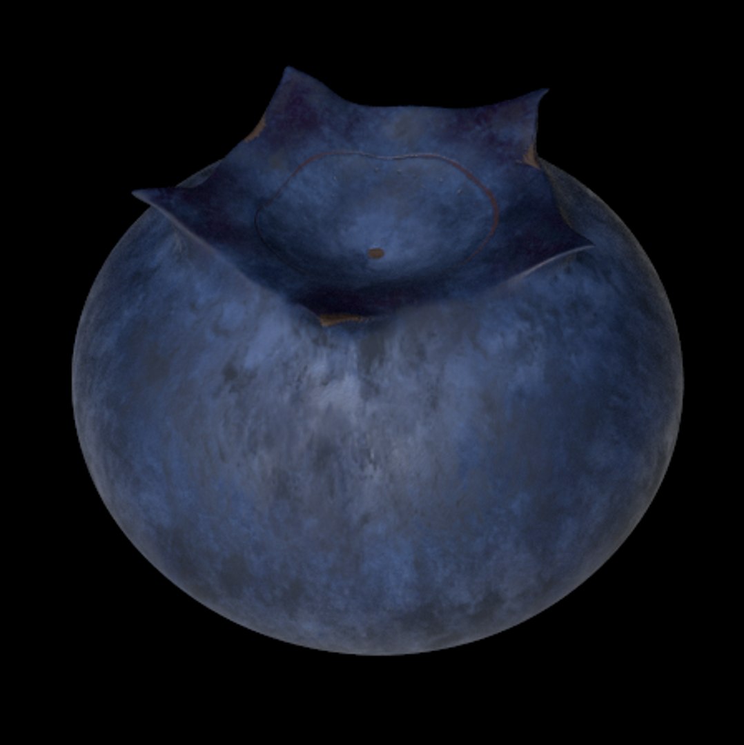 3D Model Blueberry - TurboSquid 1879149