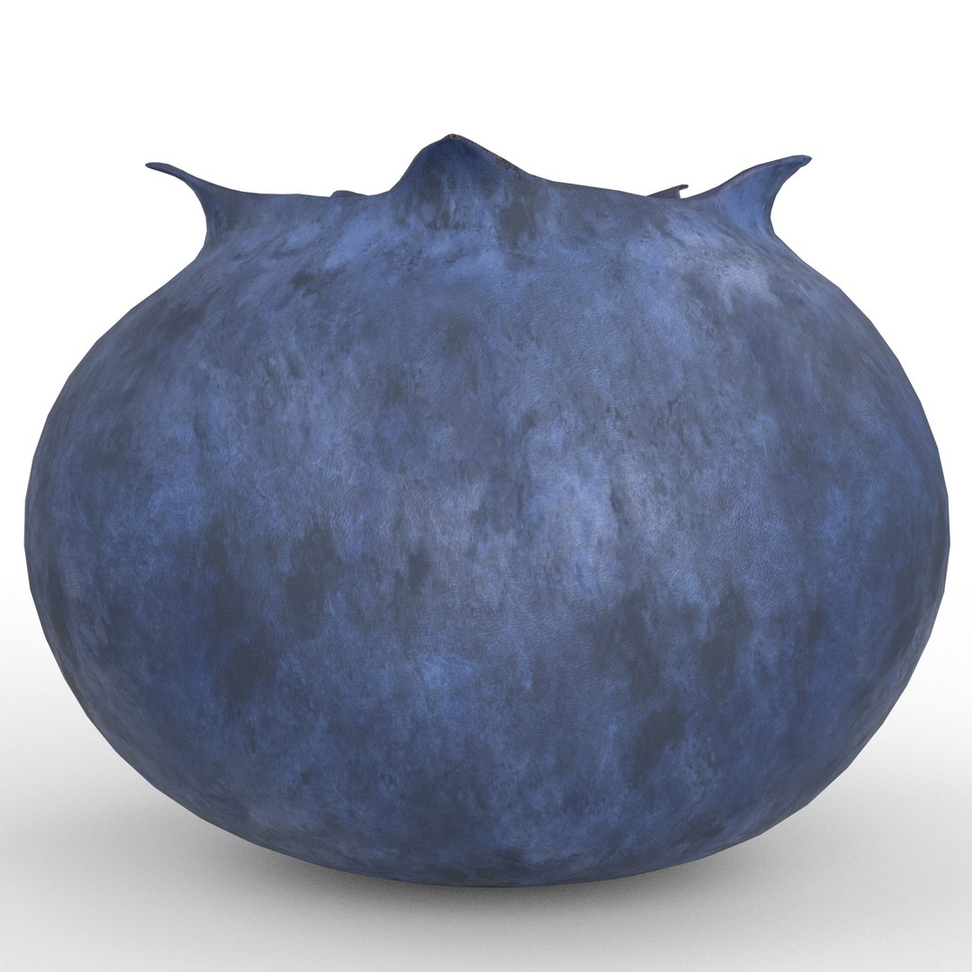 3D Model Blueberry - TurboSquid 1879149