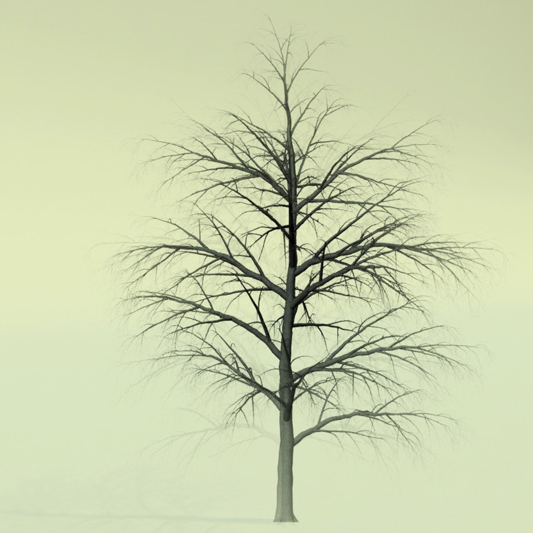 winter trees 3d lwo