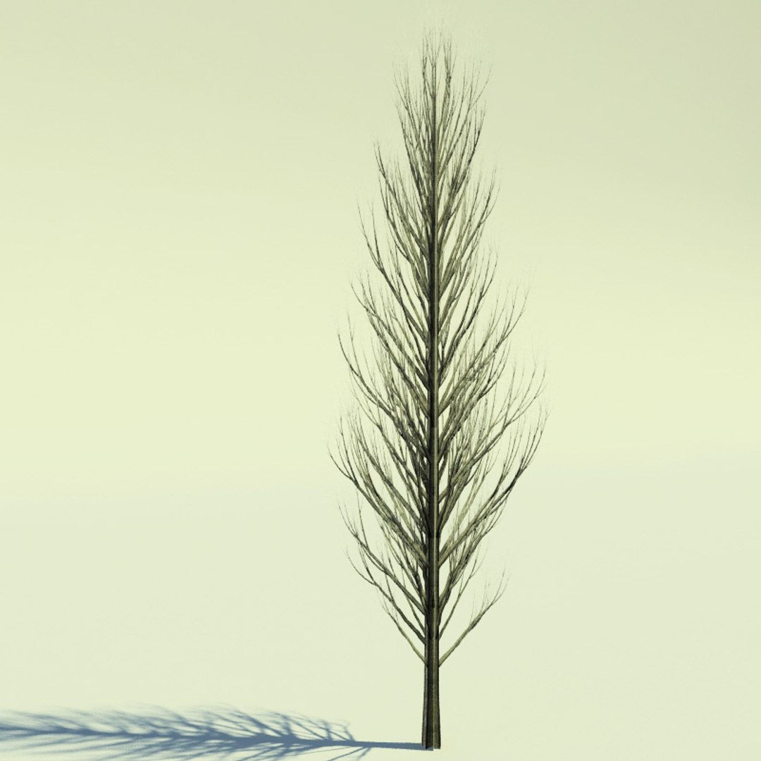 winter trees 3d lwo