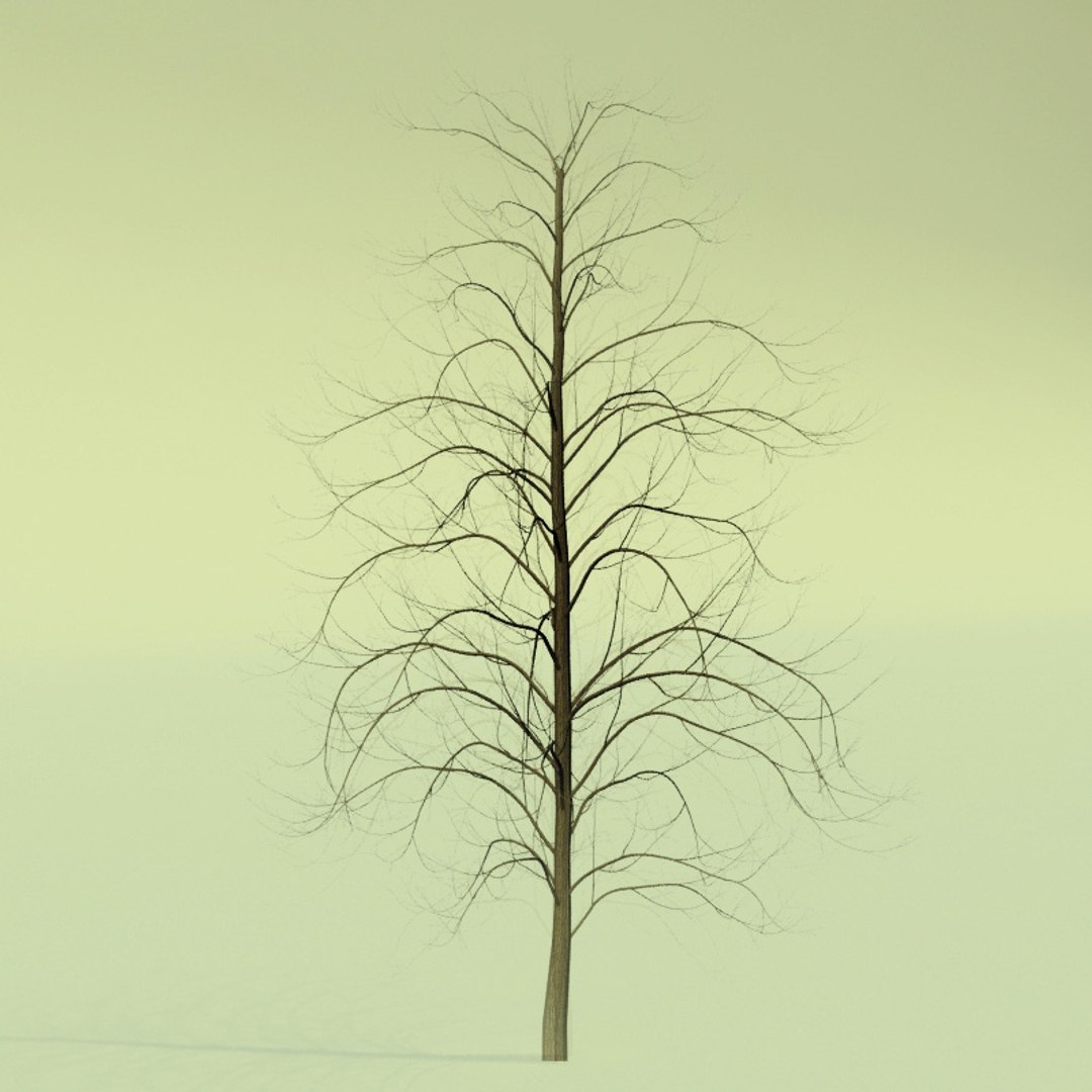 winter trees 3d lwo