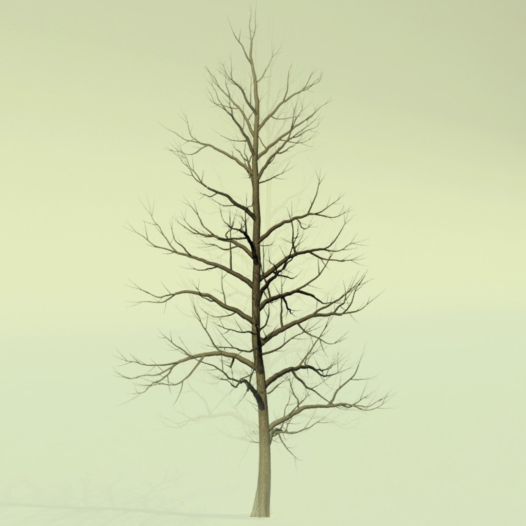 winter trees 3d lwo