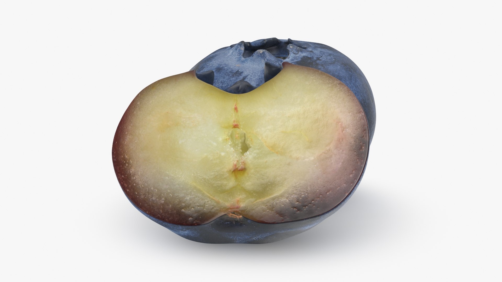Whole And Half Blueberries 3D Model - TurboSquid 2199417