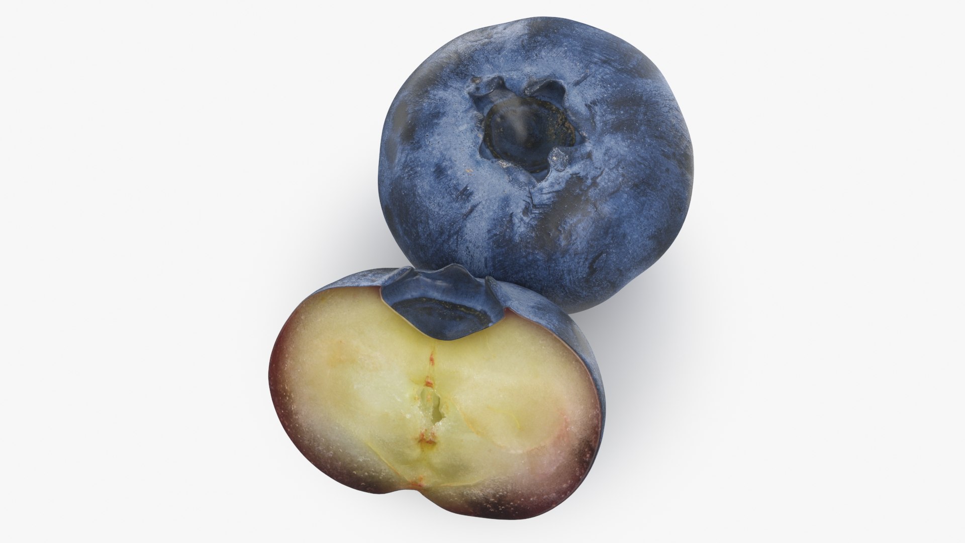 Whole And Half Blueberries 3D Model - TurboSquid 2199417