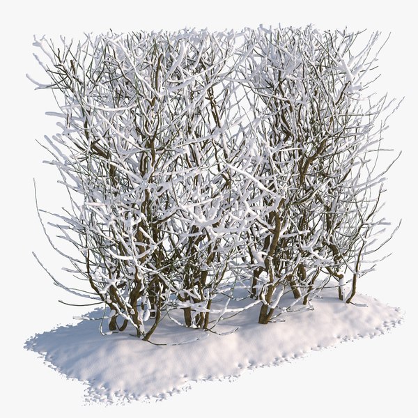 set snow bushes 2 3d model