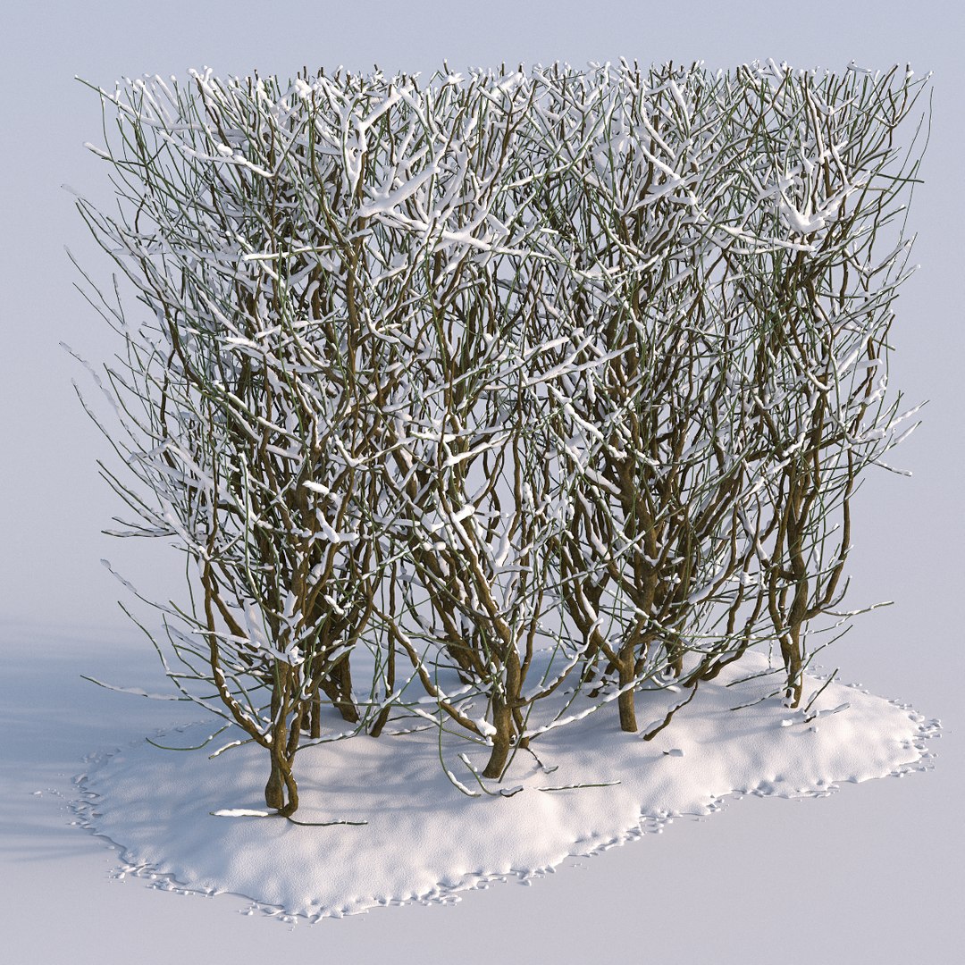 Set Snow Bushes 2 3d Model