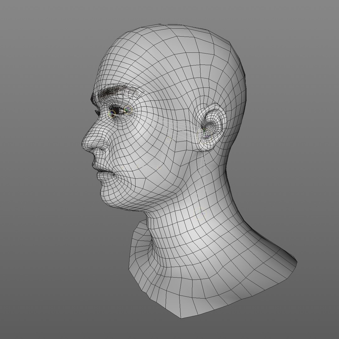 Realistic head base mesh 3D model - TurboSquid 1438203