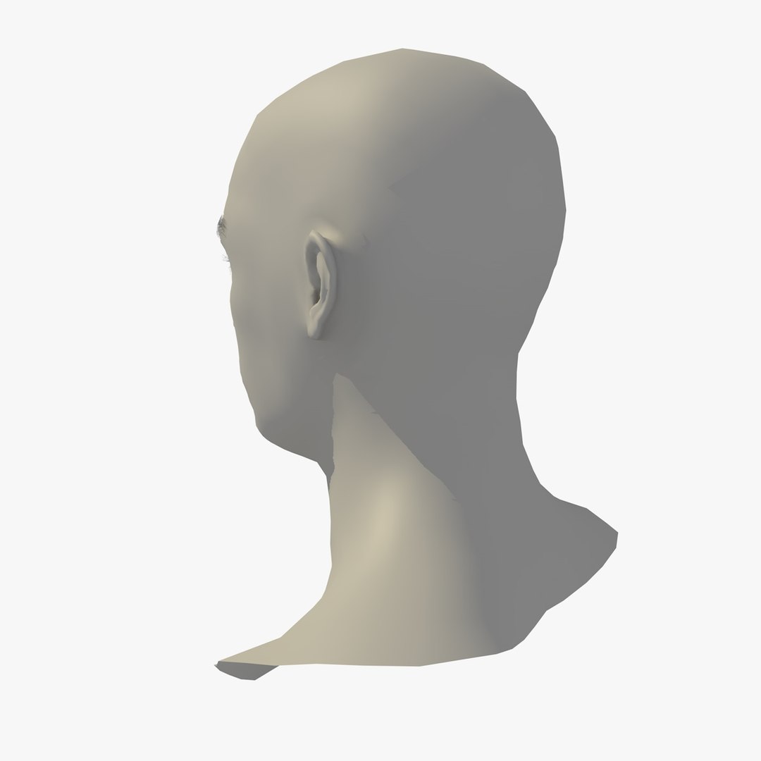 Realistic Head Base Mesh 3D Model - TurboSquid 1438203
