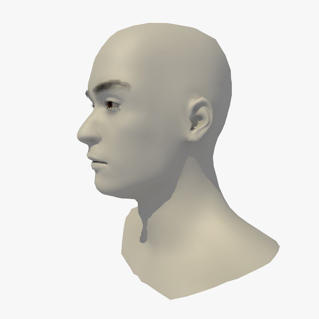 Realistic Head Base Mesh 3D Model - TurboSquid 1438203